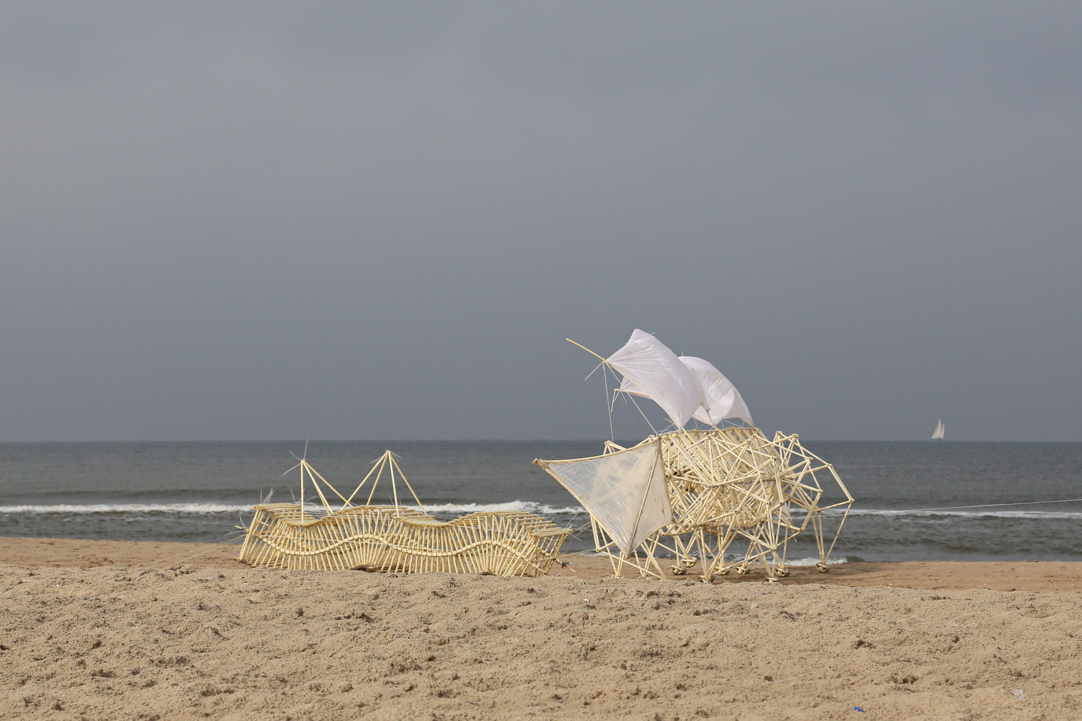 Strandbeest