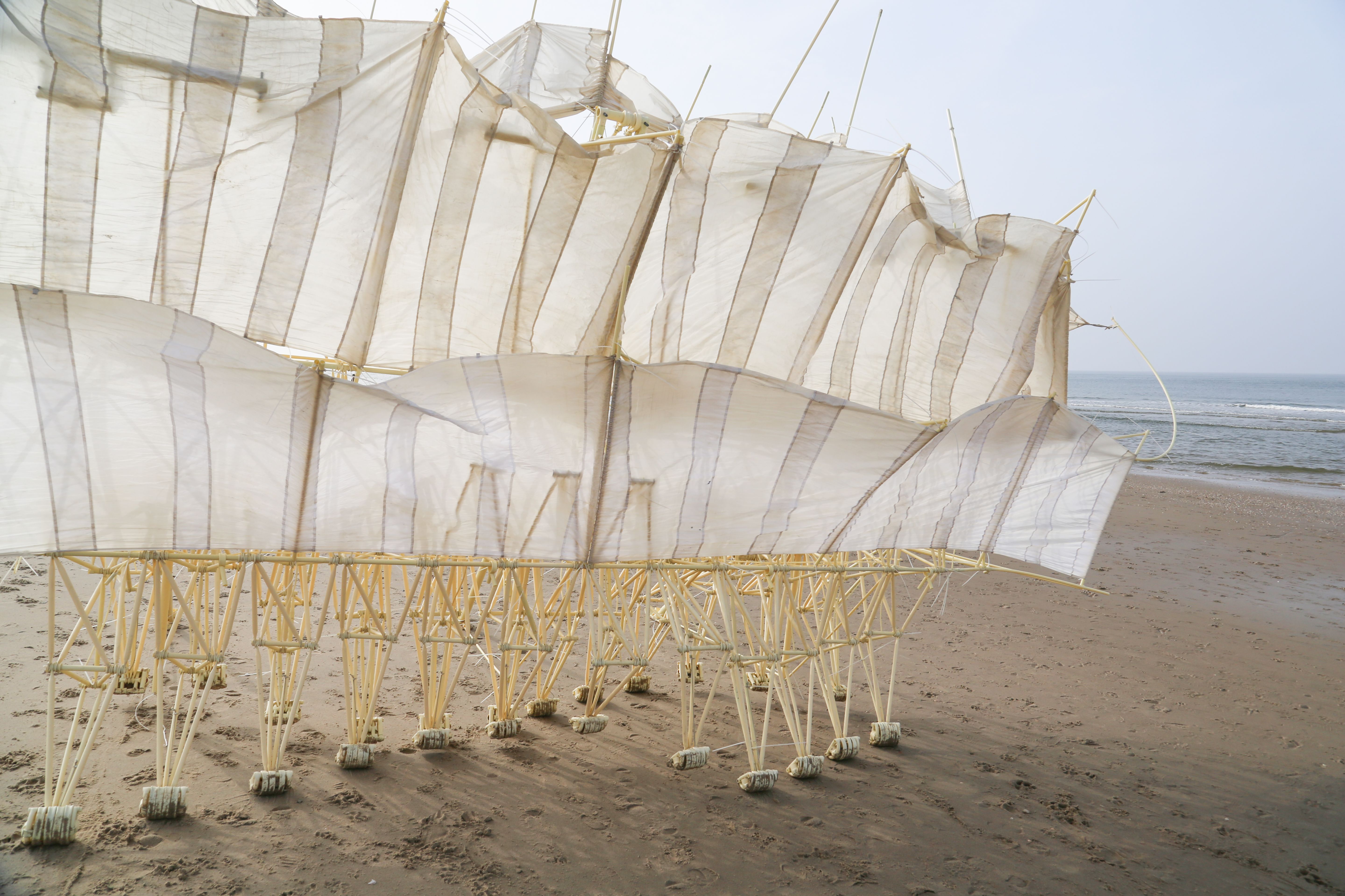 Strandbeest