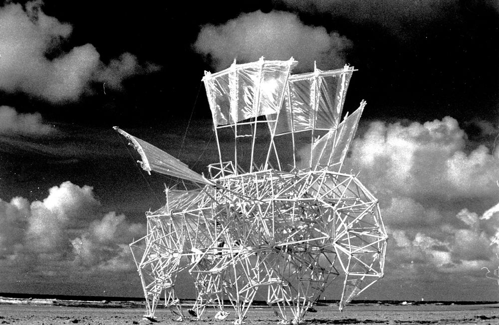Strandbeest