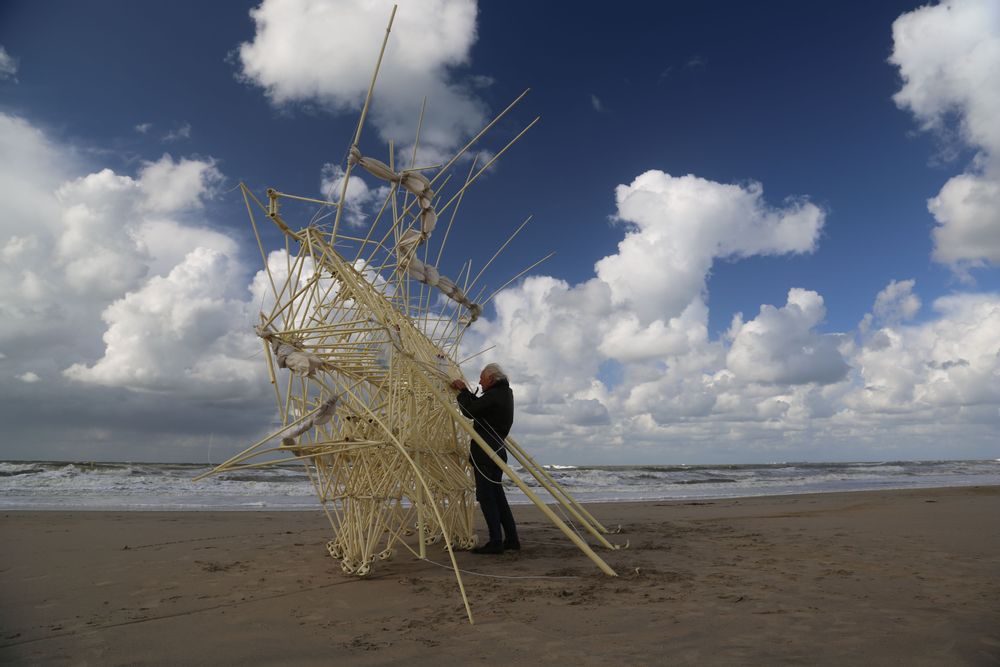 Strandbeest