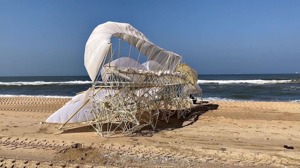 Strandbeest