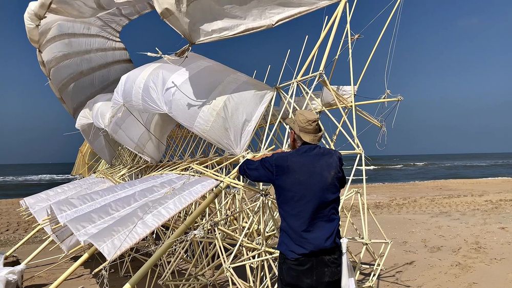 Strandbeest